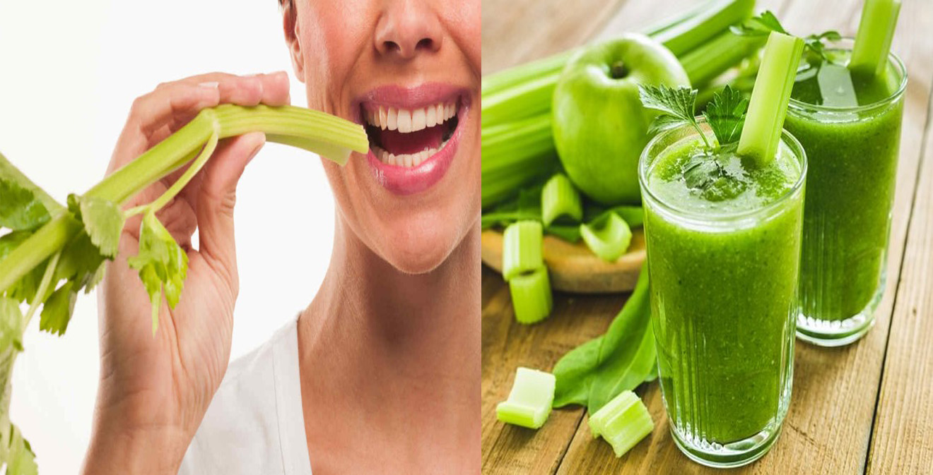 Beneficios Del Apio Para La Salud y Sus Propiedades 【 Muchos